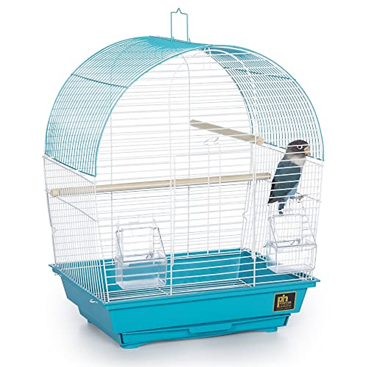 Prevue Pet Products South Beach Dome Top Bird Cage, Teal (SP50071),14 1/8" L x 11 1/4" W x 18 1/8" H