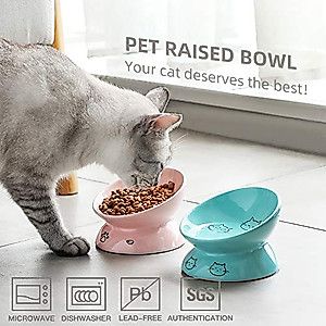 SWEEJAR Ceramic Raised Cat Bowls, Slanted Cat Dish Food or Water Bowls, Elevated Porcelain Pet Feeder Bowl Protect Cat's Spine, Stress Free, Backflow Prevention (Turquoise)