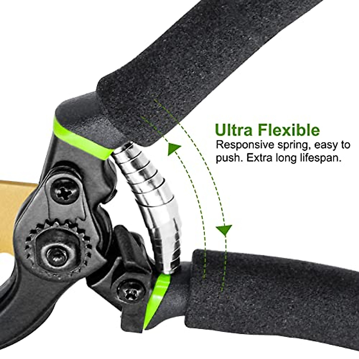 TOOLTENG Premium Bypass Pruning Shears, Heavy Duty Ultra Sharp Hand Pruners, Professional Garden Scissors, Rose Clippers for Plants and Tree Ttrimmers, Multipurpose Garden Shears for Gardening