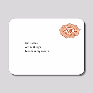 Divining Poets: Clifton: A Quotable Deck from Turtle Point Press (Divining Poets: A Quotable Deck from Turtle Point Press)