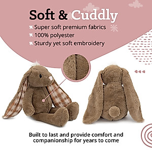 Plushible Easter Bunny Plush, Cuddly, Soft, Embroidered Stuffed Animal Toy for Newborns, Kids, Boys, & Girls, 14 Inch