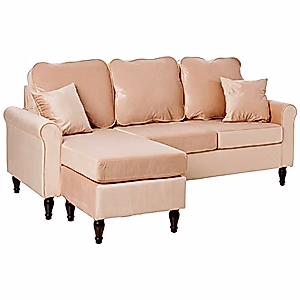 Divano Roma Furniture Classic Sectional, Champaign