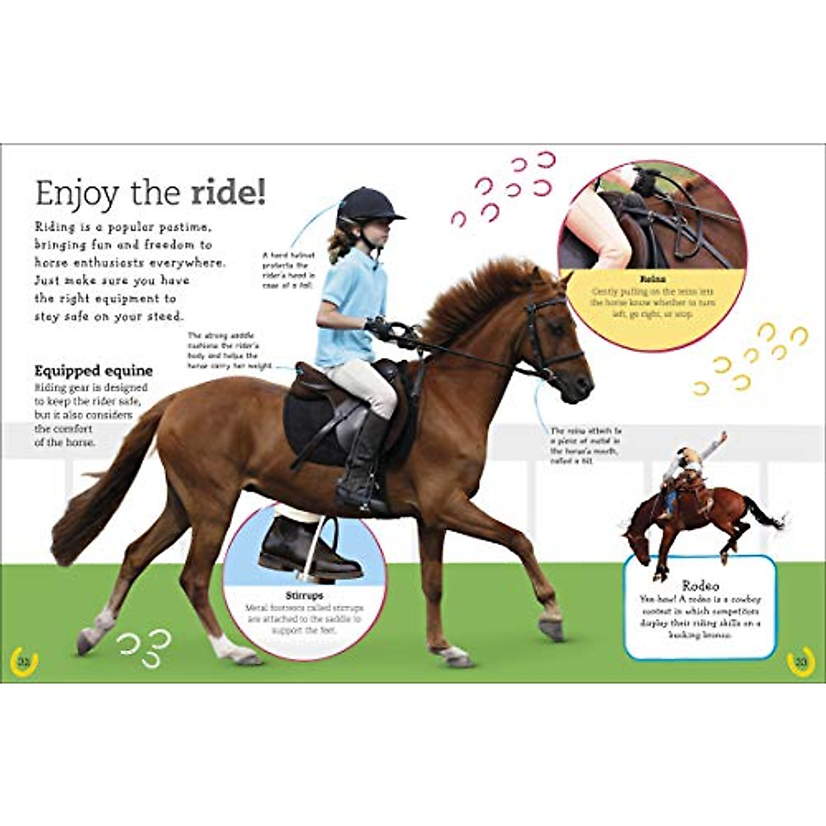 The Everything Book of Horses and Ponies (Everything About Pets)