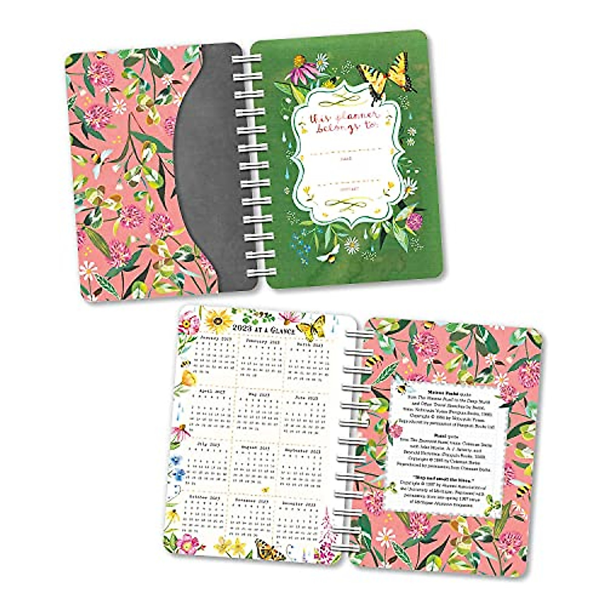 Katie Daisy 2022 Weekly Planner: On-the-Go 17-Month Calendar with Pocket (Aug 2021 - Dec 2022, 5" x 7" closed): Wild Beauty