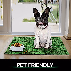 LINLA Garden Front Dog Door Mat for Muddy Paws, 18"x30"- Fake Faux Grass & Super Absorbent Fibers for Dirt Trapper, Rubber Non-Slip, Perfect Rug for High Traffic Entryways, Green