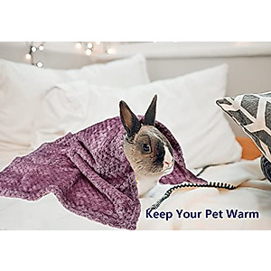 Vehomy 4Pcs Guinea Pig Blankets Hamster Flannel Blanket Bunny Blanket Cage Liners Small Pet Fleece Sleep Blankets Bedding Mats Bathe Towels for Hamster Guinea Pig Rabbit Kitten Chinchilla Hedgehog