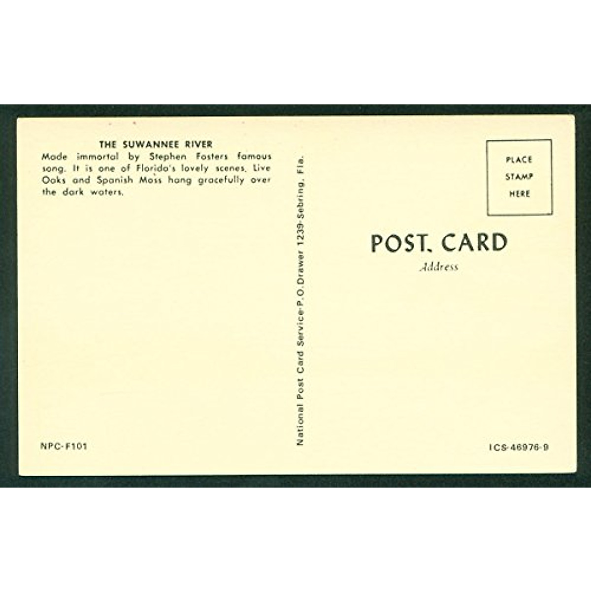 Suwannee River Stephen Foster Song Florida Live Oaks Spanish Moss Vintage Postcard