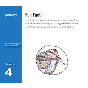 Dumb Birds of North America 2021 Daily Calendar: (One Page a Day Calendar of Funny Bird Facts, Humor Daily Calendar about Birds with Bird Artwork)