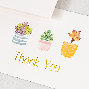 Crisky Printable Succulent Thank You Cards with Envelopes (50 Pack) & Stickers Greeting Notes Bulk, greenery plants for Birthday, Baby Shower,Bridal Shower, Wedding, Graduation