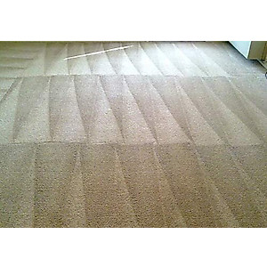 Capture Pre-Mist Soil Release for Carpet Dry Cleaner - Carpet Cleaning Pre Spray - Loosen Juice, Coffee & Wine Spill and Tough Rug Stains Eliminator - Multi-Purpose Cleaning Essentials - 24oz (2 Pack)