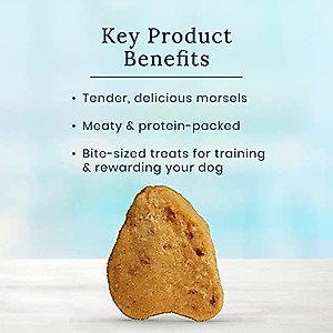 Blue Buffalo True Chews Premium Morsels Natural Dog Treats, Chicken 11 oz bag