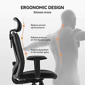XUER Ergonomic Office Chair, Mesh Computer Desk Chair with Adjustable Sponge Lumbar Support, Thick Cushion, PU Armrest and Headrest, High Back Swivel Home Office Task Chair for Work (Grey)…