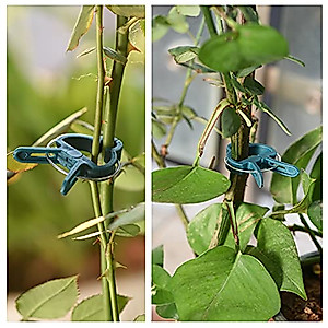 PERSZEN Plant Support Clips, 80 PCS Gentle Flower Plant Clamps for Supporting Vine Climbing Plants, Gardening Lever Loop Gripper Clips Help Stems Vines Grow Straight Upright, 2 Sizes in one Pack
