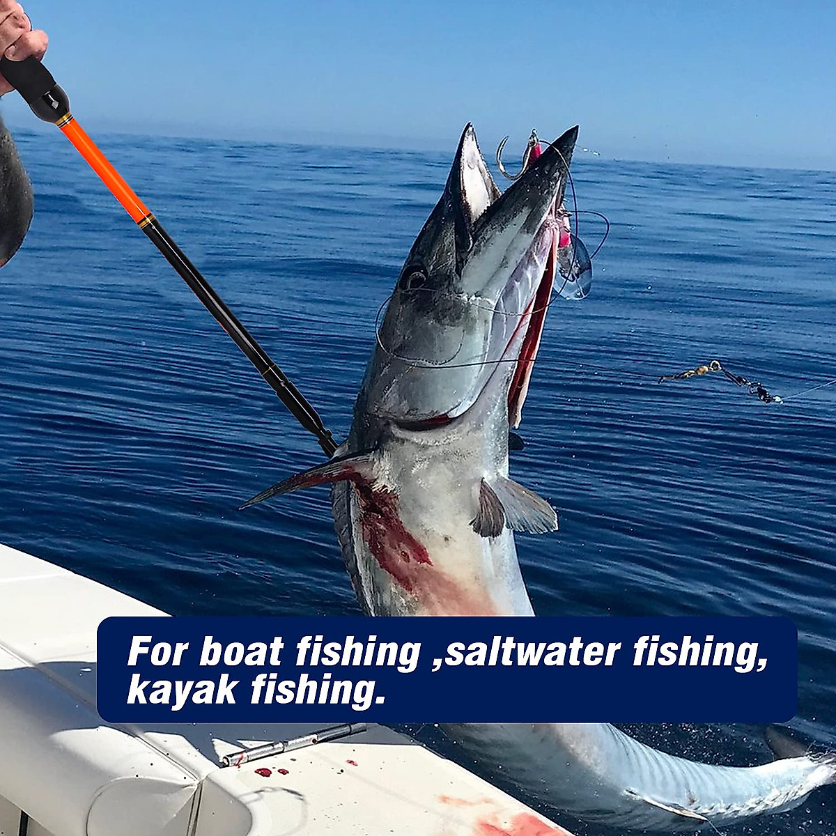 Fiblink Fishing Gaff Fiberglass Handle Stainless Steel Hooked Gaff (3’ & 5’ & 6’, 66 lb Test) (Lenght: 3')