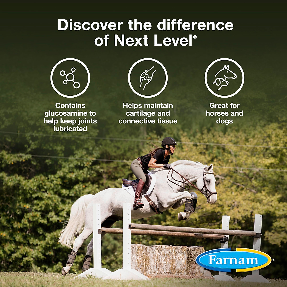 Farnam Next Level Horse Joint Supplement for Horses & Dogs, Helps Maintain Connective Tissue to Ease Joint Stiffness Due to Daily Activity, 32 oz, 32 Day Supply