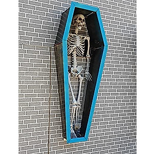 5.4ft/165cm Halloween Skeleton - Halloween Human Skeletons Full Body Bones with Movable Joints for Halloween Props Spooky Party Decoration