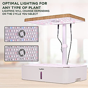 Ivation 12-Pod Indoor Hydroponics Growing System Kit with LED Grow Light, Herb Garden Planter for Herbs, Vegetables, Plants Flowers and Fruit