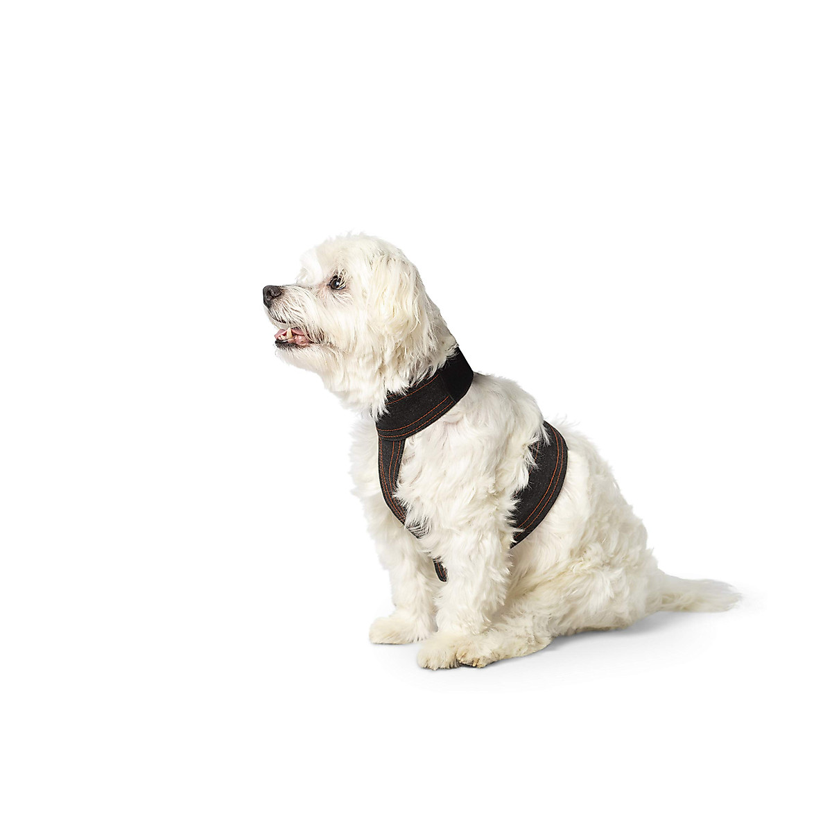 Calmer Canine - Small Convenience Vest for Use with The Anxiety Treatment Device for Dogs (Device Not Included)