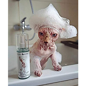 Kotomoda Probiotic Shampoo for Sphynx Cats (4.22)