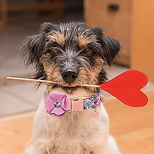 UP URARA PUP Valentine’s Day Dog Collar with Felt Flower, Valentine Flower Collar for Medium Girl Dog, Valentine’s Day & Wedding Gift Pet Collar, Cotton Collar with Metal Buckle, M, Neck 13.5-22in