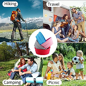 Ecoart Silicone Expandable Collapsible Bowl for Travel Camping Hiking (Red(L))