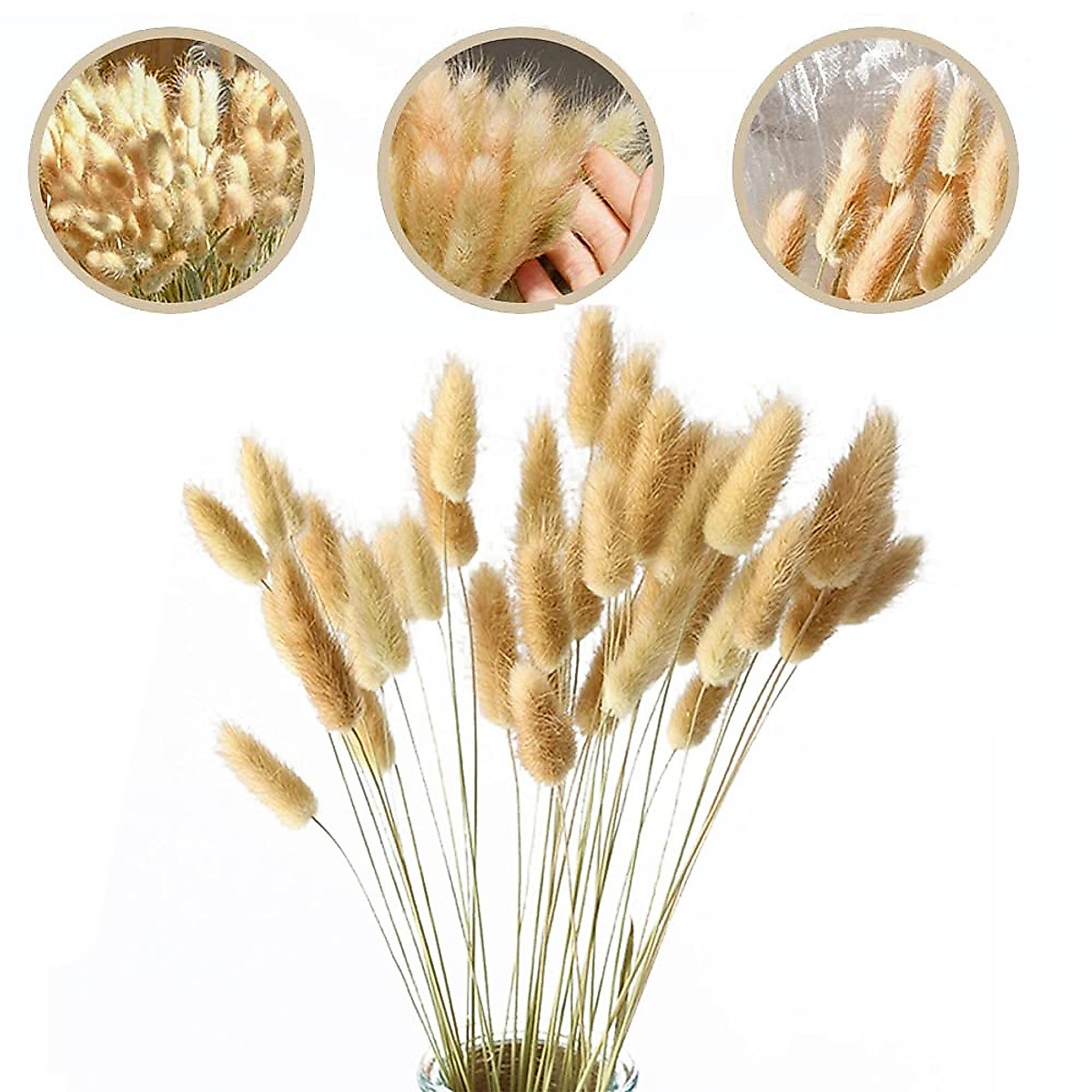 100 Pcs Natural Lagurus Ovatus Rabbit Tail Dried Flowers,17 inch/45 cm Dried Bunny Tails Grass Decor for Home Kitchen Garden Party Photographing Flower Arrangement Vase Decoration