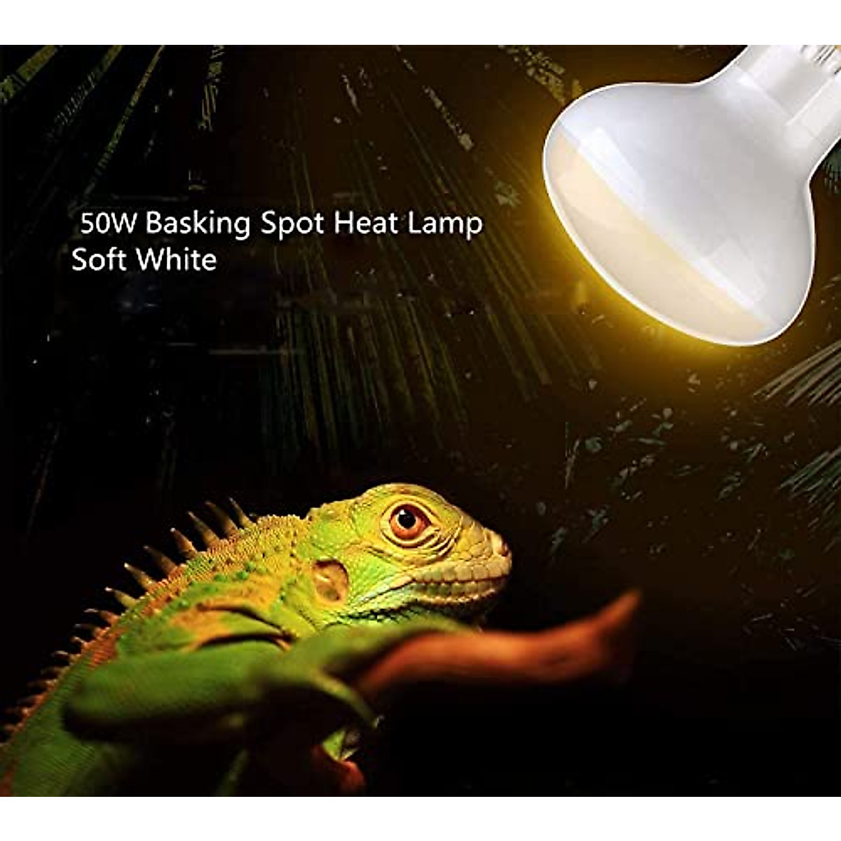 Qixivcom 2-Packs 50W Reptile Heat Lamp Basking Bulb E26/E27 110V UVA Basking Spot Daylight Heat Lamp Glass Heating Lamp Reptile Heater for Bearded Dargon Turtle Aquarium Aquatic Lizard Chicken Coop
