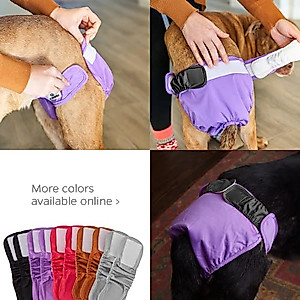 Pet Parents® Washable Dog Diapers (3pack) of Doggie Diapers, Color: Princess, Medium Dog Diapers