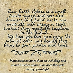 Dwarf Sunflower Seeds for Planting - to Plant and Grow Teddy Bear and Sunspot in Your Flower Garden.