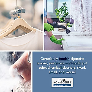 Pure Non Scents® Granular Coconut Shell Activated Charcoal - Non Toxic Odor Absorber & Eliminator for Home, Car, Shoes, Closet, Fridge, & More - Safe Deodorizer for Bad Odors - Unscented, 2lbs