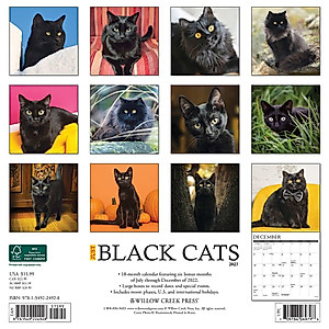 Just Black Cats 2023 Wall Calendar