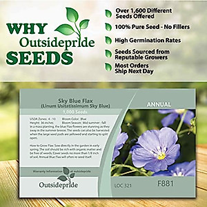 Outsidepride Linum Sky Blue Common Flax or Linseed Garden Flower Plant Seeds - 1000 Seeds