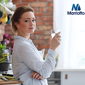 MARRIOTTO Smart Water Filters for Refrigerators NSF 42 Certified Cartridges Compatible with MWF, MWFA, MWFP, GWF, GWFA, 46-9991, HDX FMG-1, WFC1201, 1 Pack