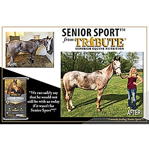 Senior Sport Textured Feed for Horses