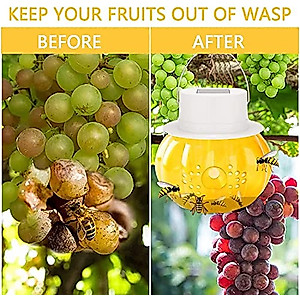 Wasp Traps Outdoor Hanging, Yellow Jacket Killer, Solar Powered Bee Trap Outdoor, Wasp Repellent Outdoor, Reusable Bee Catcher Hornet Trap for Trapping Hornet, Bee, Insects