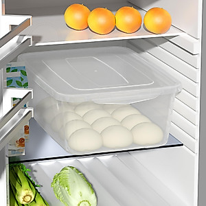 Vababa 2-Pack 16 L Pizza Dough Proofing Box with Lid, Clear Food Pizza Storage Container