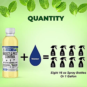 Mighty Mint Peppermint Oil Insect & Pest Control Spray with Concentrate - Makes 1 Gallon