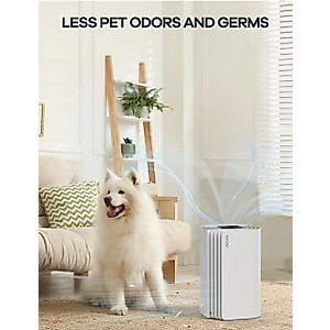 Welov Air Purifiers for Home: H13 True HEPA Air Purifiers for Pets Allergies Asthma,Mini Portable Air Cleaners with Aromatherapy,Removal Up to 0.1 Microns,23dB Air Purifier for Bedroom