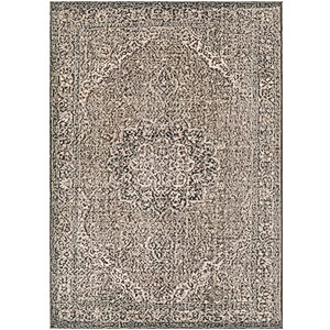 Greenpoint Machine Washable Area Rug - Oriental Persian Traditional Medallion - Bohemian Vintage Distressed Carpet - Brown, Beige - 6'7"x9'