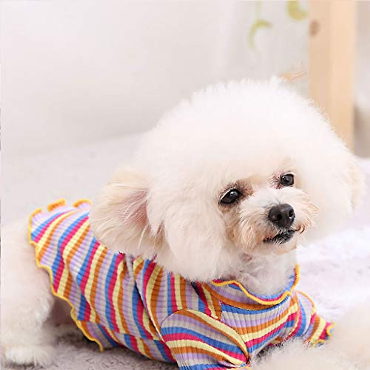 Extra Small Dog Sweater Female Rainbow Pajamas Winter Vest Dog Shirt Pet T-Shirt Cat Clothes Cute Puppy Pet Clothes