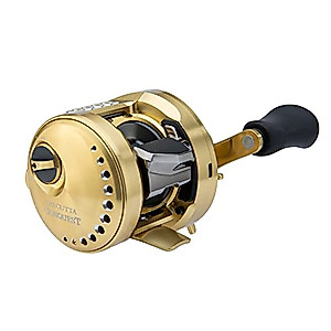 Shimano Inc. Calcutta Conquest 200 A