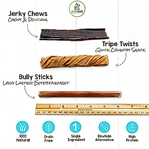 Nature Gnaws Premium Dog Chew Variety Pack - Tripe Twists, Beef Jerky and Bully Sticks for Dogs - Long Lasting Dog Chew Treats - Rawhide Free Dental Bones