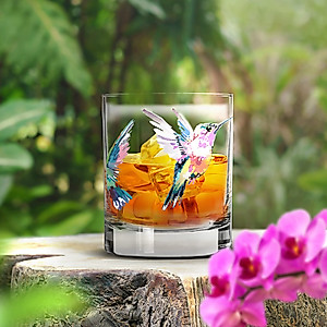 Toasted Tales - Hummingbirds Whiskey Glasses | Gift for Birds Lovers | Funny Gag Party Gift Beer Tailgating | Seasonal Outdoor Decor Glassware | Forest Animals Hummingbird Gifts for Home Decor (11 oz)