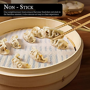 TASTECRAFTS Bamboo Steamer Basket 10-Inch, 2-Tier Design with Complimentary Chopsticks, Steamer Liners and Ceramic Dish for Sauce, Dumpling Steamer, Vegetable Steamer, Rice Steamer.