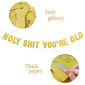 Birthday Party Decorations Holy Sht You're Old Glitter Gold Banner Circle Dots Garland Happy Birthday Cake Topper 30th-40th-50th-60th-70th-80th Birthday Party Baby Shower Supplies Funny Photo Props