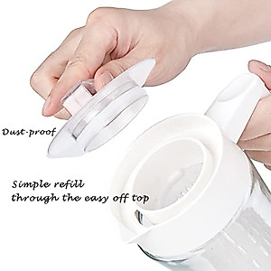 1.3L/44oz Glass Fruit Infuser Water Pitcher with Lid and Handle, Borosilicate Glass Jug with Removable Filter, for Hot/Cold Beverage, BPA-free (White)