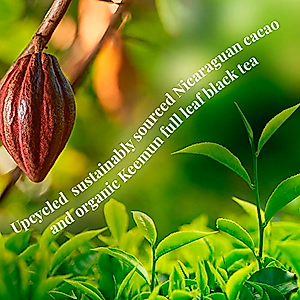 The Republic of Tea - Theo and Thea Mint Chip Crème Full-Leaf Black Tea, 14 Pyramid Sachets, Low Caffeine