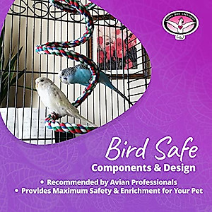 Super Bird Creations SB323 Small Bird Bungee Bird Toy, Small Bird Size, 1/2" diameter x 52"