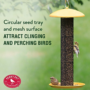 Perky-Pet YSSF00346-2 Straight-Sided Thistle Seed Wire Mesh Tube Finch Bird Feeder
