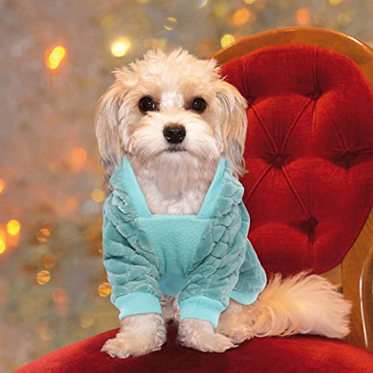 Yagamii Winter Dog Clothes Fleece Flannel Dog Hoodie Warm Dog Coat Jacket for Small Dogs Cats Puppy, Dog Sweater with Hat and Leash Hole Green Pet Clothes Cold Weather Dog Apparel